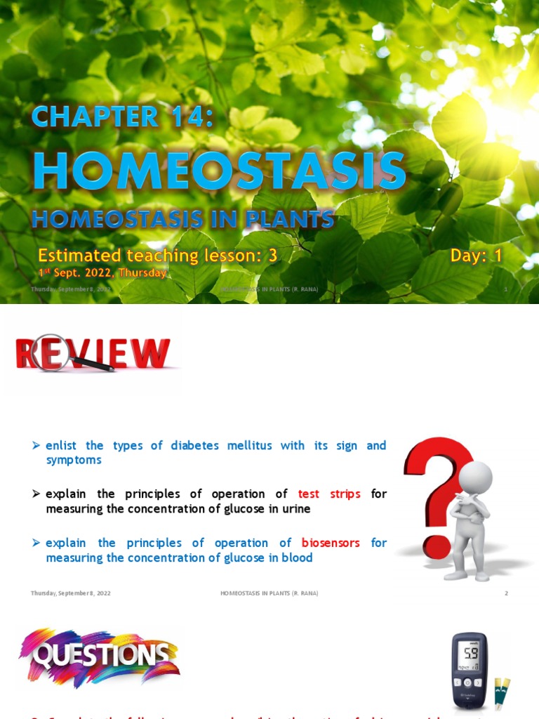 Plant Homeostasis & Diabetes Guide | PDF | Stoma | Chloroplast