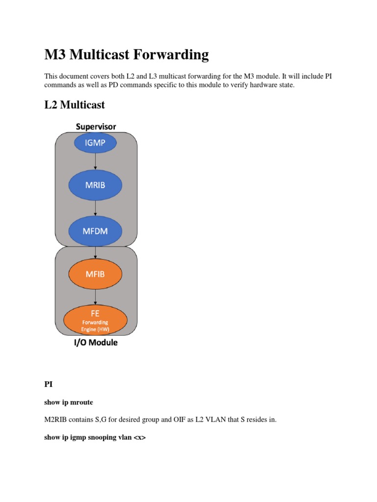 M3 Multicast Forwarding | PDF | Internet Standards | Internet