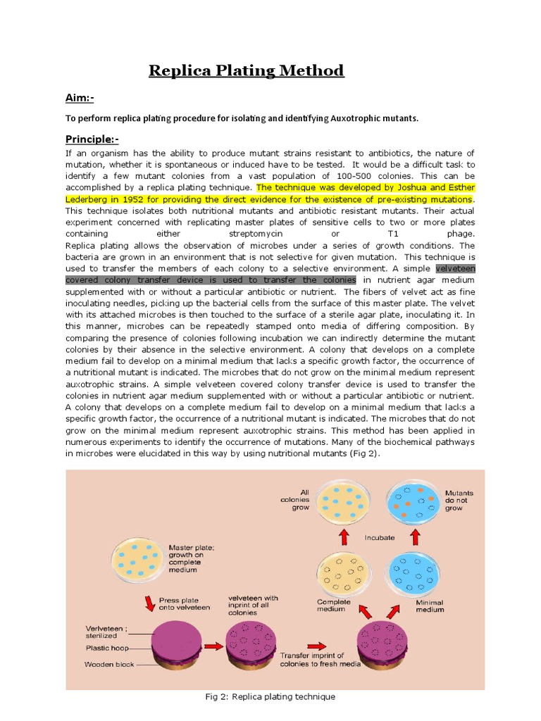 Replica Plating Method: Isolating Auxotrophic Mutants | PDF | Growth ...