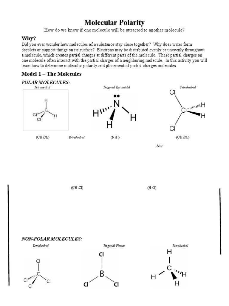 Molecular Polarity: How Do We Know If One Molecule Will Be Attracted To Another Molecule? | PDF ...