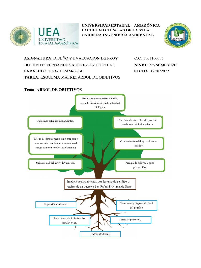Esquema Matriz Àrbol de Objetivos | PDF