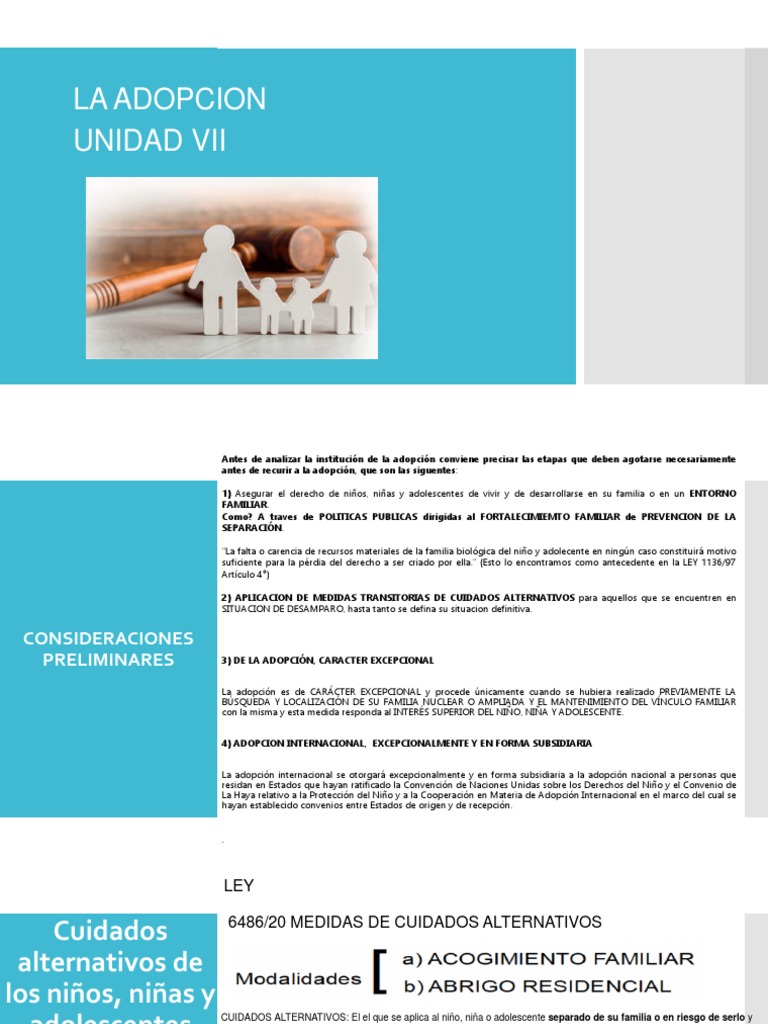 ADOPCION | PDF | Adopción | Anulación