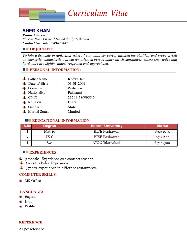 Sher Khan CV | PDF