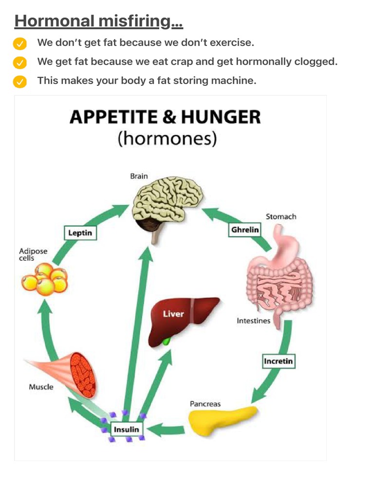 Hormonal Misfiring | PDF
