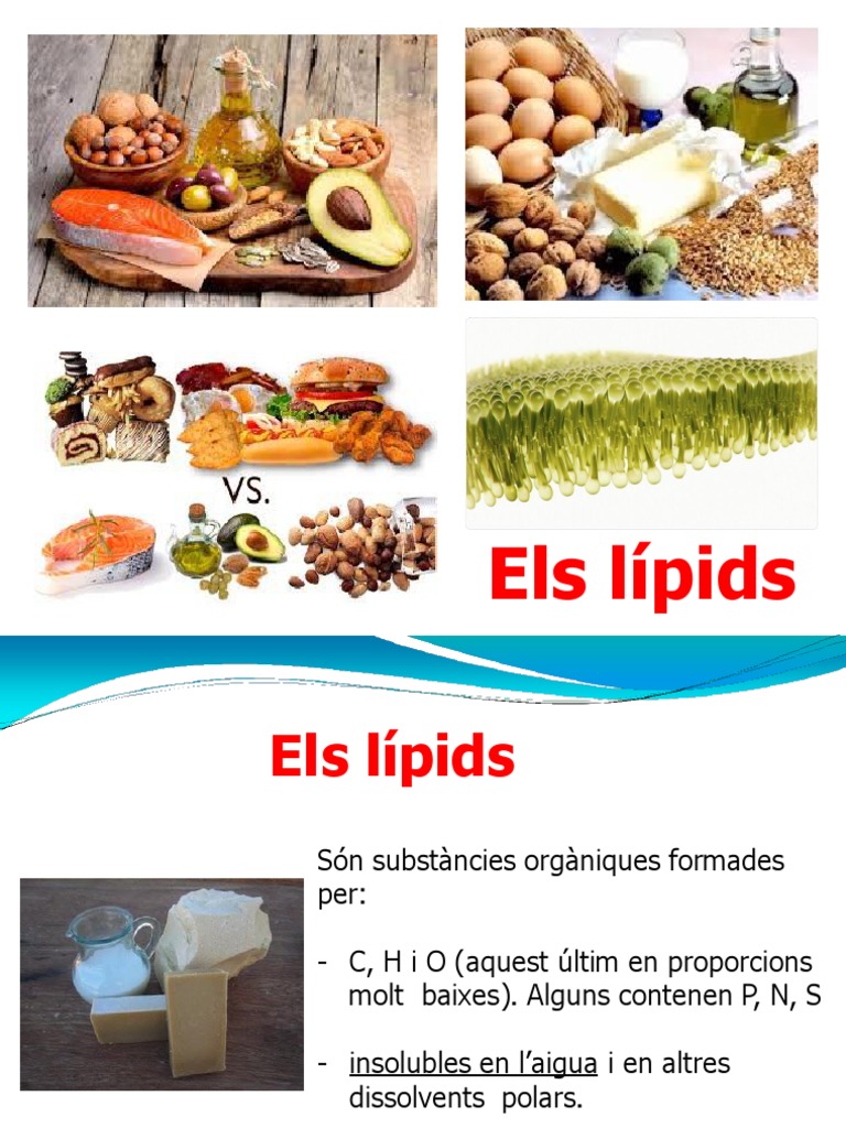 4 Els Lípids | PDF