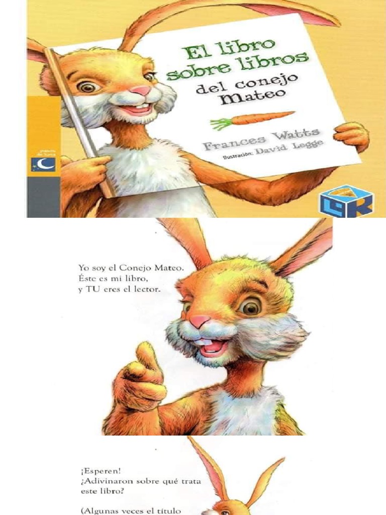 El Libro Sobre Libros Del Conejo Mateo | PDF