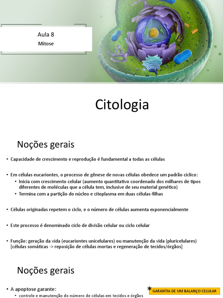 Aula 8 Divisão Celular Mitose Pdf Mitose Célula Biologia