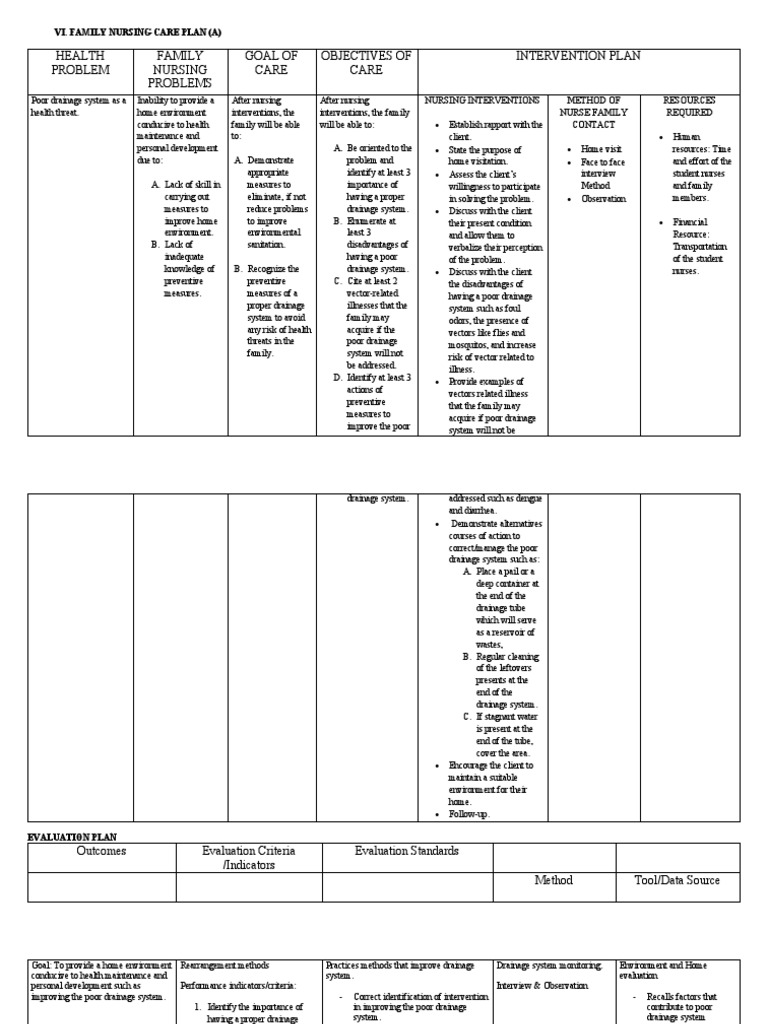 FNCP CHN | PDF | Nursing | Sanitation
