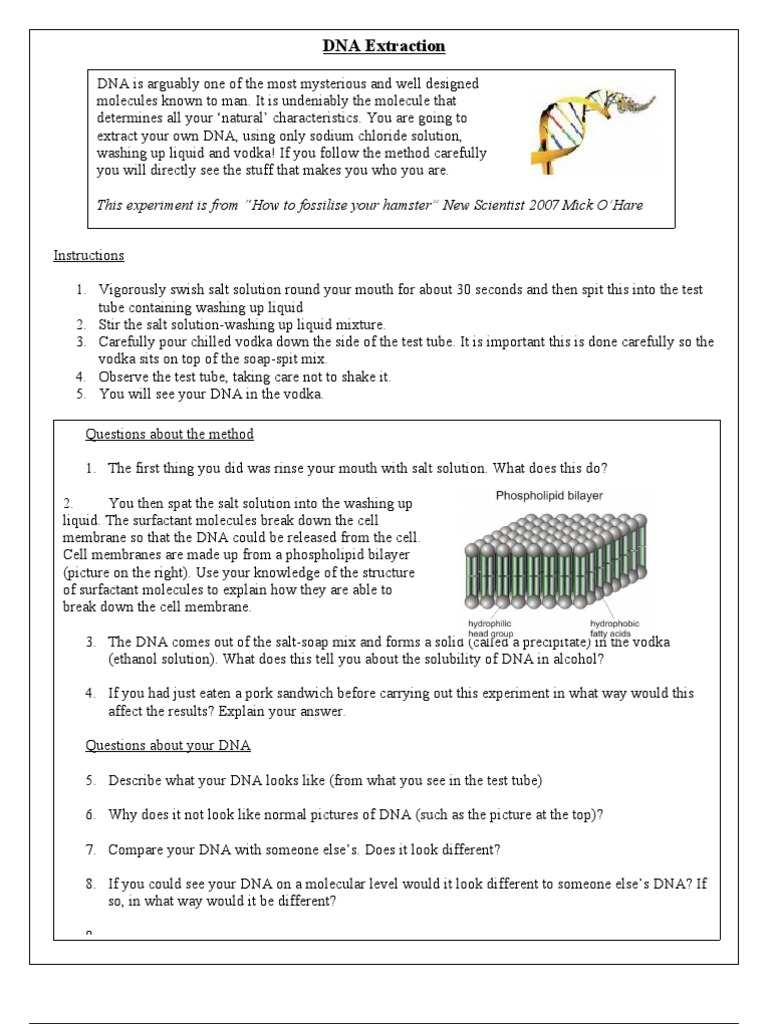 DNA Extraction | PDF | Dna | Cell (Biology)