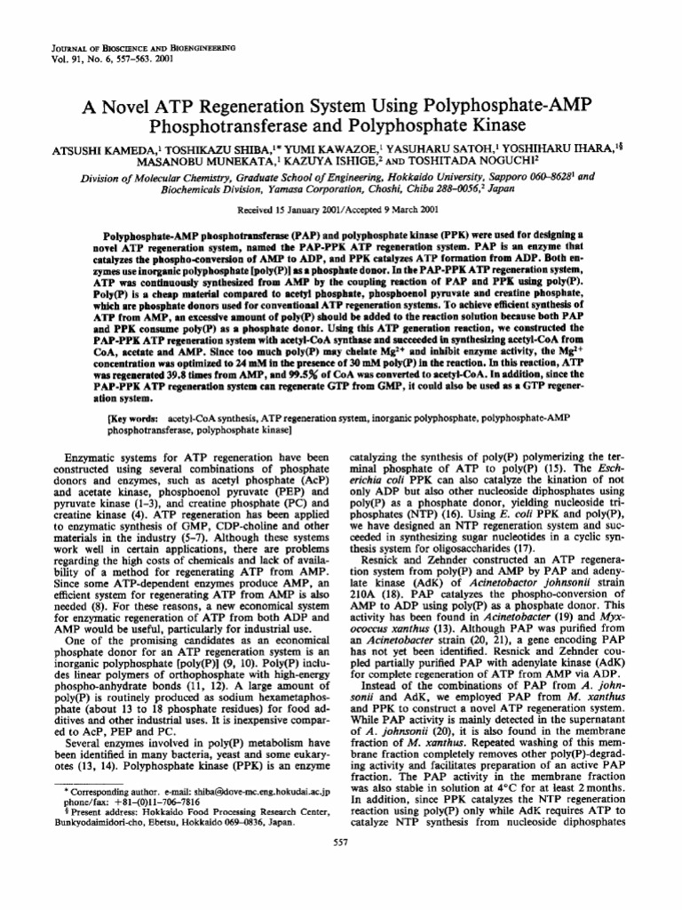 A Novel ATP Regeneration System Using Polyphosphate-AMP ...