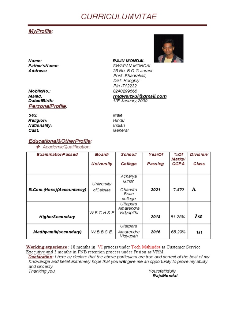 Raju CV | PDF
