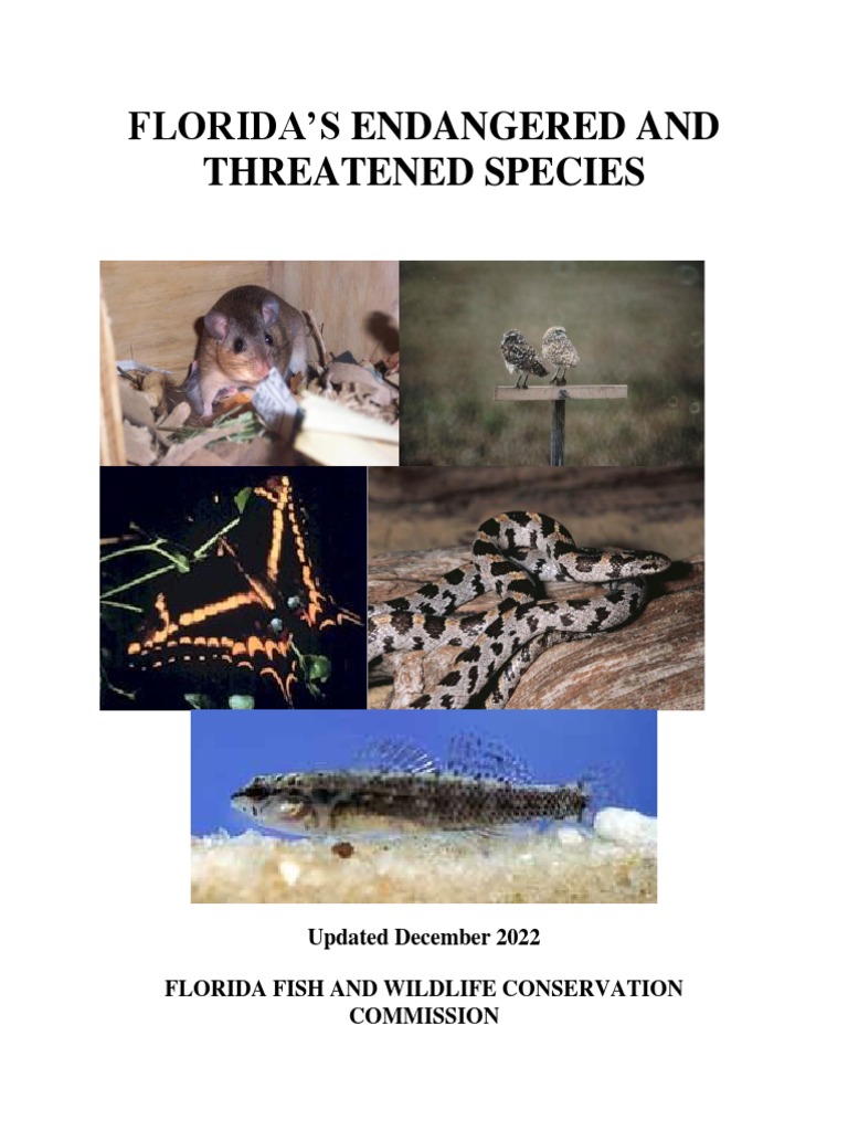 Florida Threatened Endangered Species | PDF | Endangered Species Act Of ...