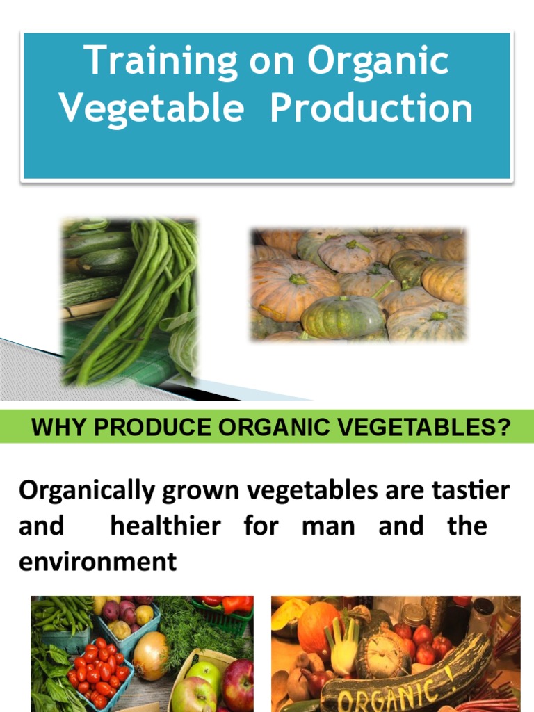 Organic Vegetable Production Training | PDF | Crop Rotation | Vegetables
