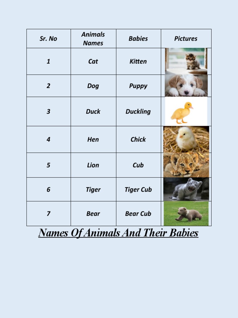 Animals and Their Babies 2 | PDF