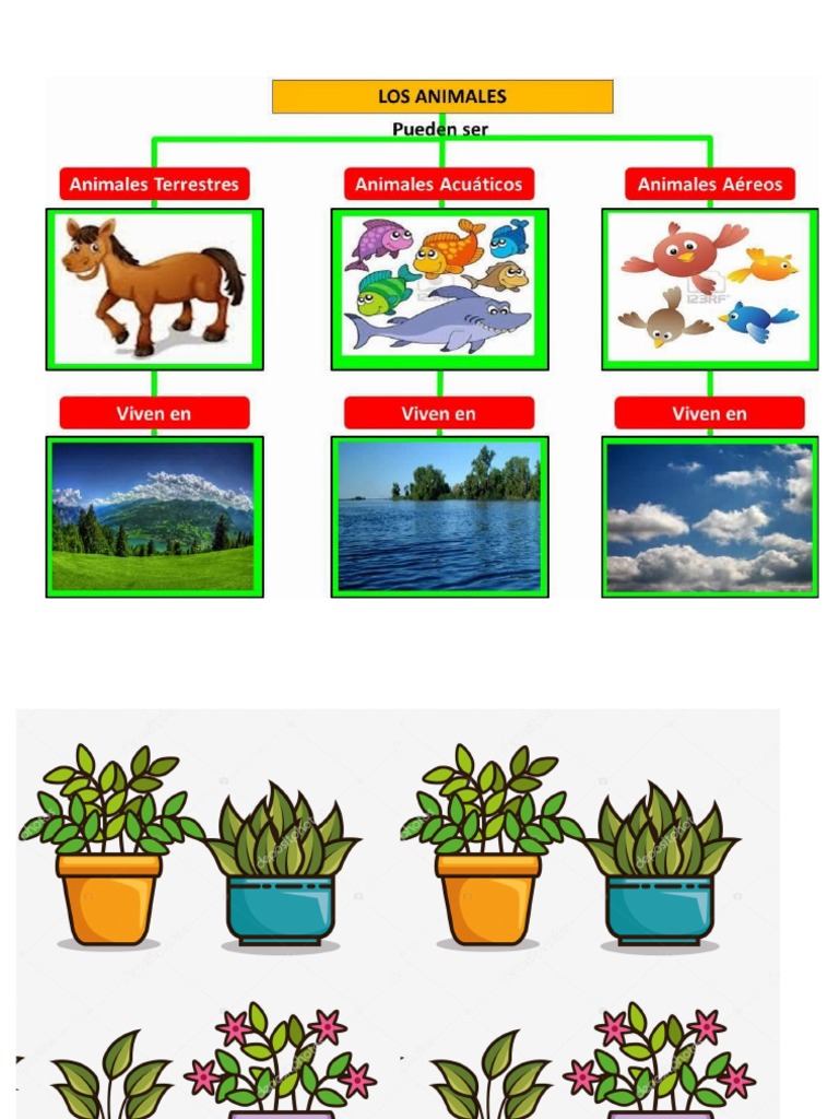 Animales y Su Habitat | PDF