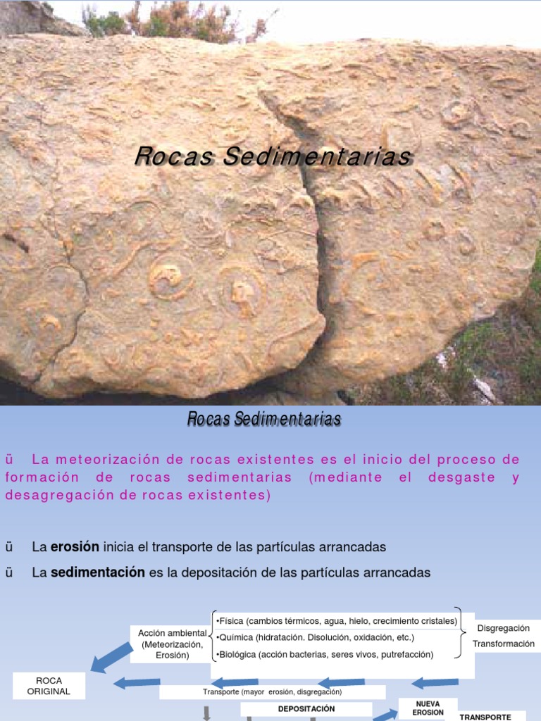 Formación y Tipos de Rocas Sedimentarias | PDF | Roca clástica | Roca ...