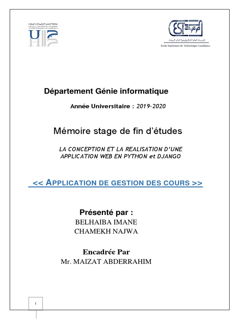 Rapport Sfe | PDF | Html | Internet