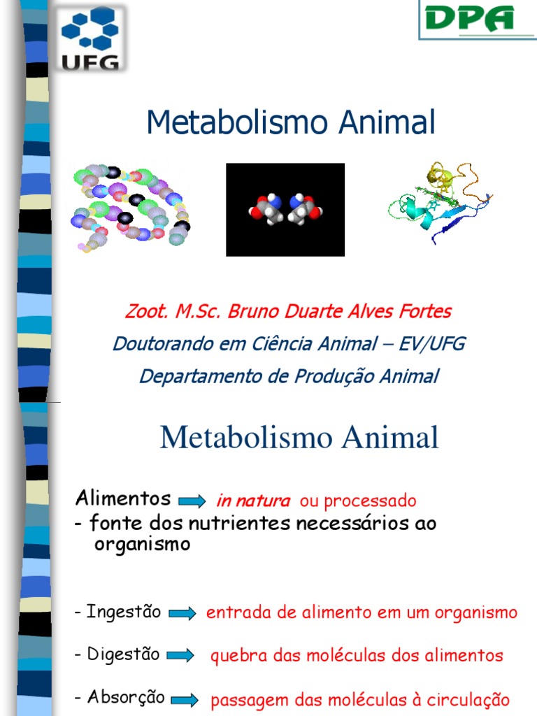 Metabolismoanimal 2010 | PDF | Digestão | Proteínas