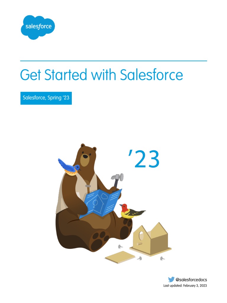 Salesforce Basics | PDF | Software As A Service | Cloud Computing