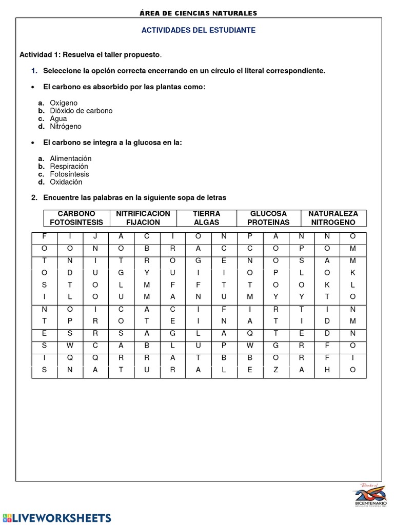 Ciclos de La Materia | PDF | Nitrógeno | Ciencias de la Tierra