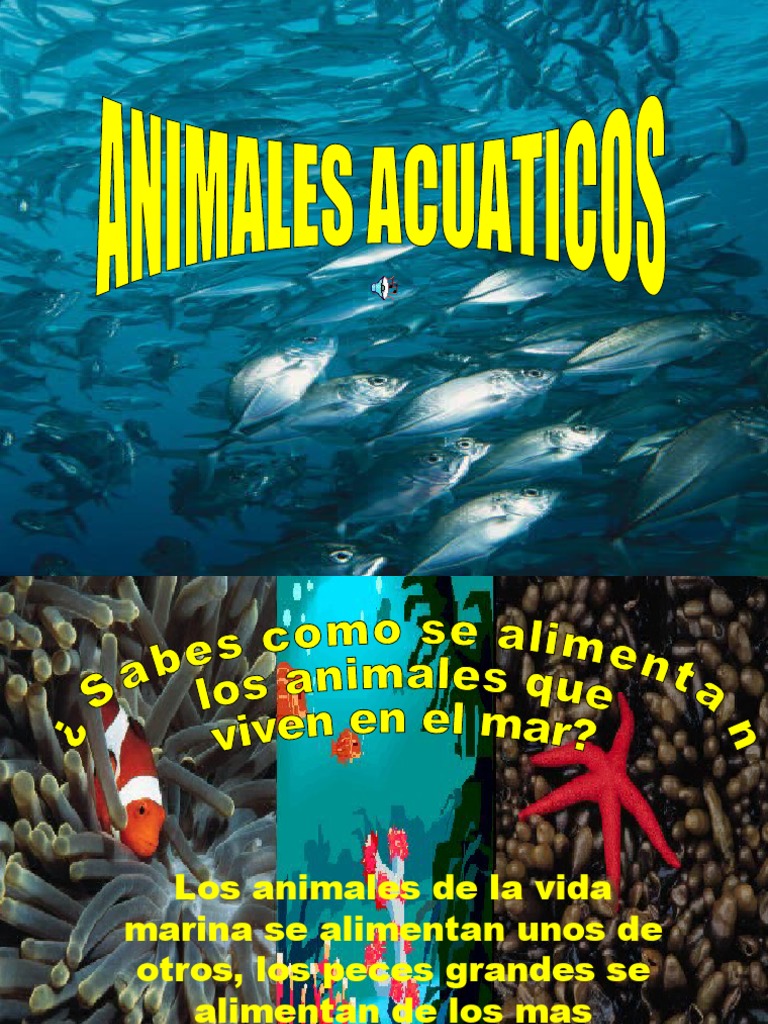 ANIMALES ACUÁTICOS | PDF