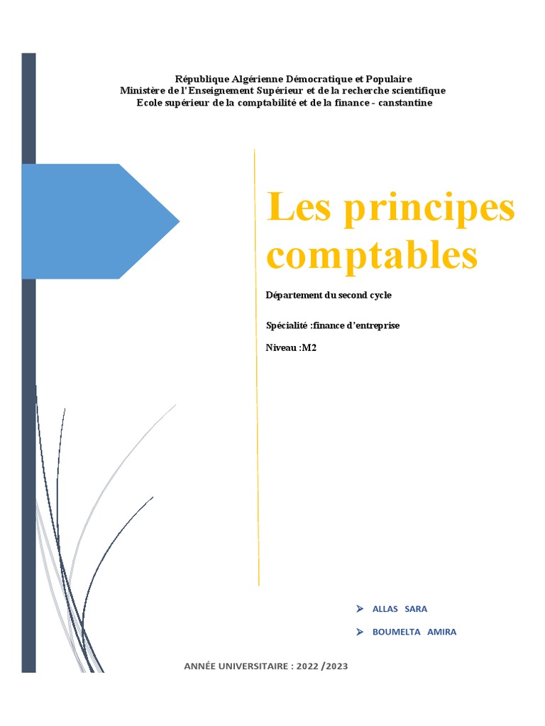 Principes Comptables OHADA et IFRS | PDF | Comptabilité | Normes internationales d'information ...