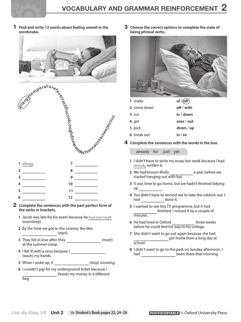 Link L8 U2 Reinforcement Ws | PDF | Language Families | Human Communication