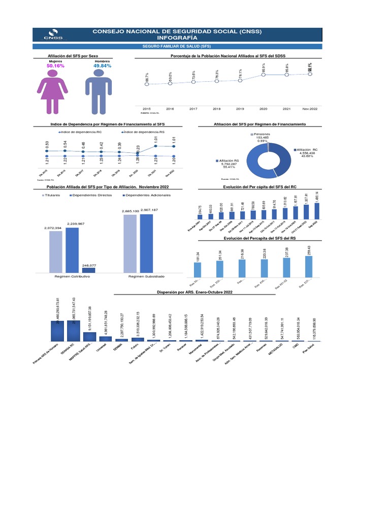 Infografia SSDSD | PDF
