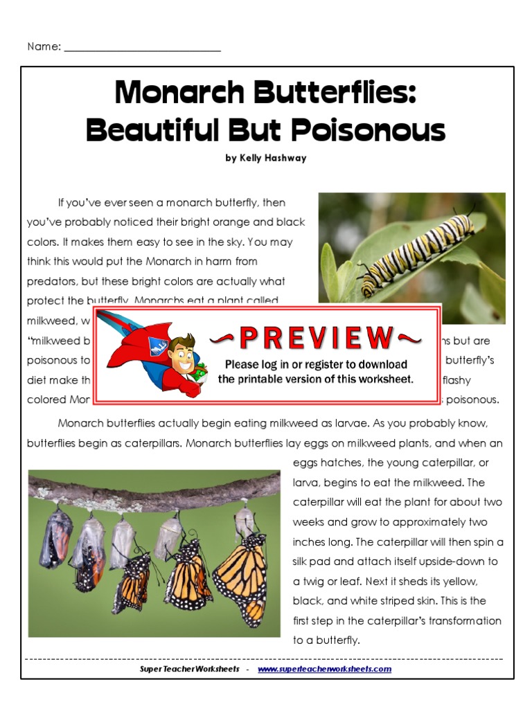 Monarch Butterflies: Toxic Beauty Facts | PDF | Home & Garden