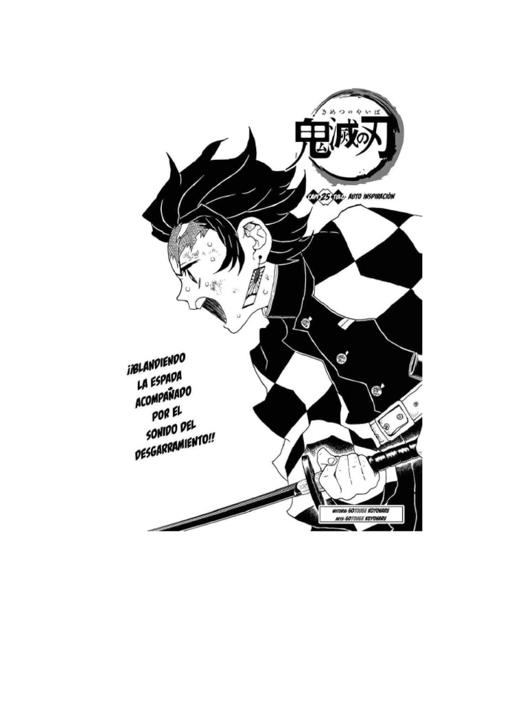 Demon Slayer 25 | PDF