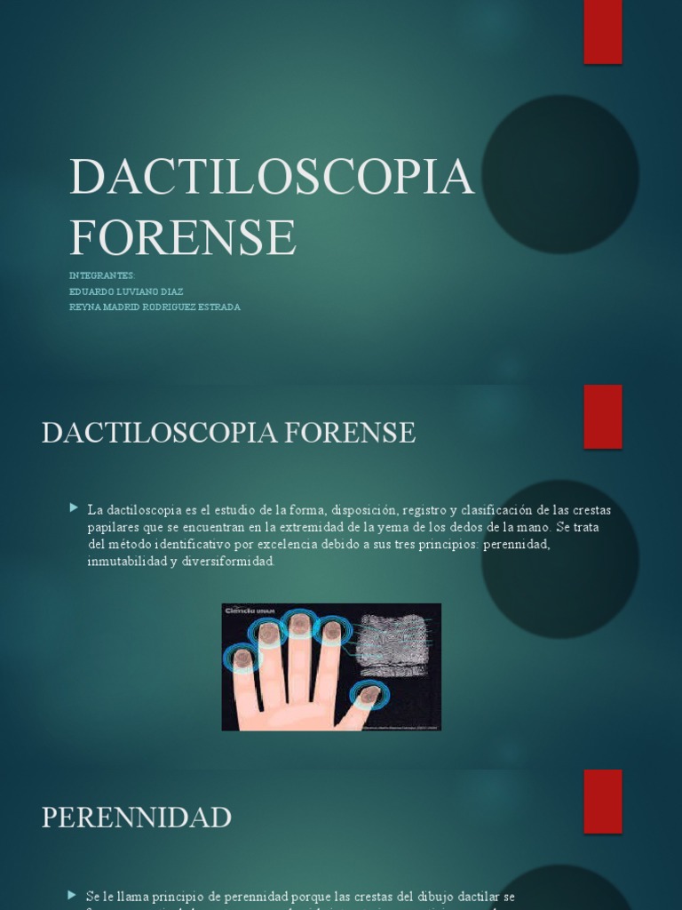 Dactiloscopia Forense | PDF | Huella dactilar | Science