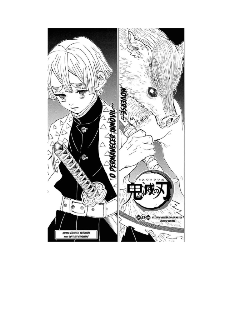 Demon Slayer 23 | PDF
