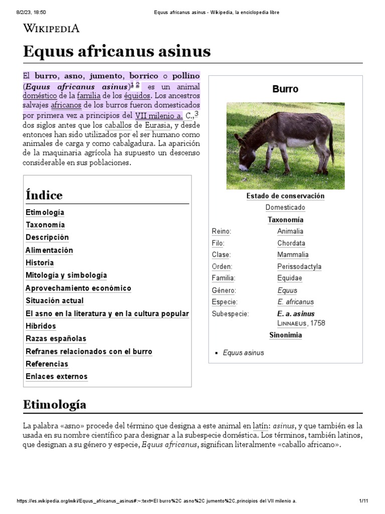 Equus Africanus Asinus | PDF | Burro | Équidos