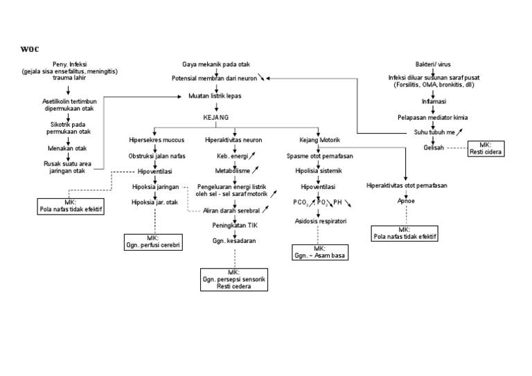 WOC - Anak Epilepsi - Indah | PDF