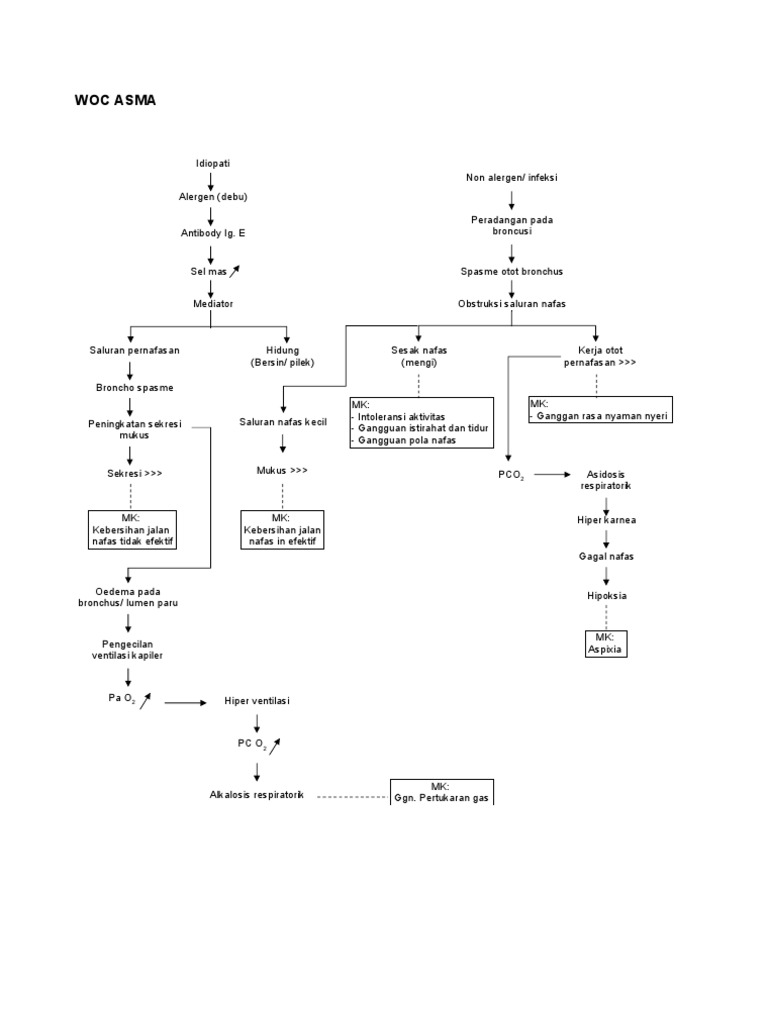 WOC - Asma Broncial Preklinik | PDF