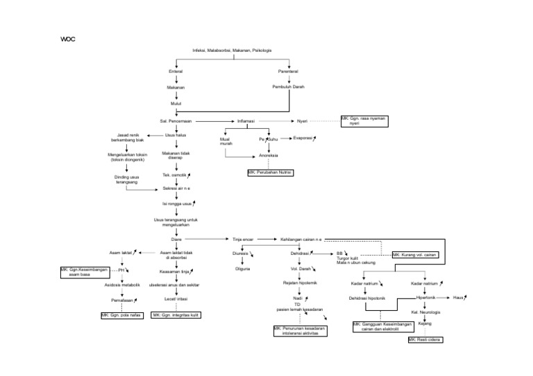WOC - Gastroenteritis | PDF