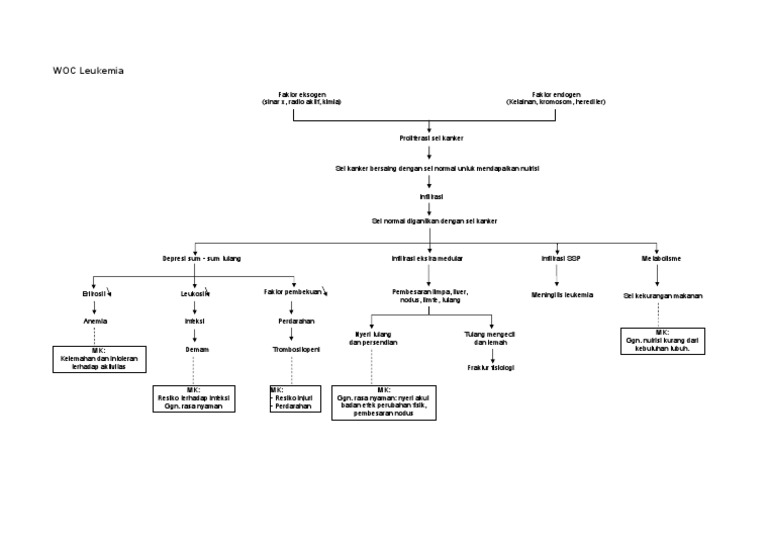 WOC - Leukemia | PDF
