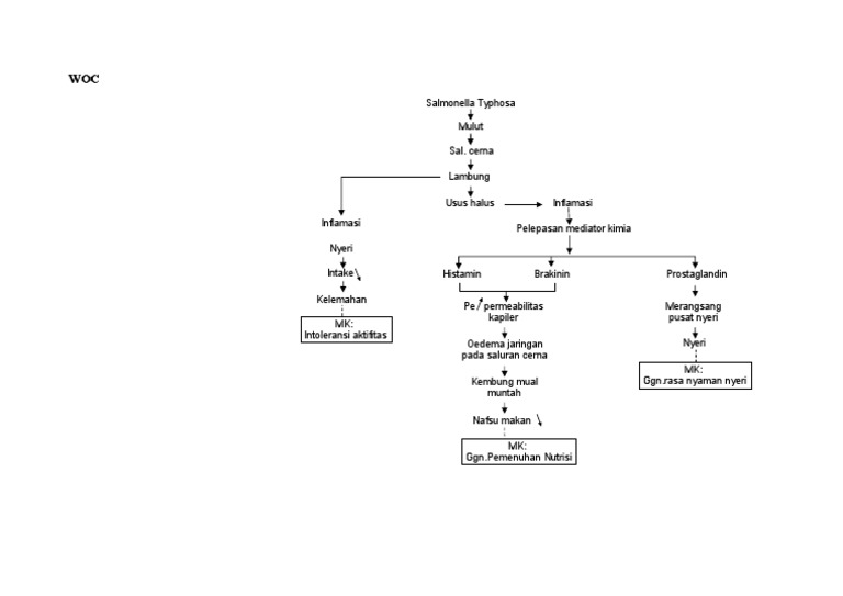 WOC - Typus Abdominalis | PDF
