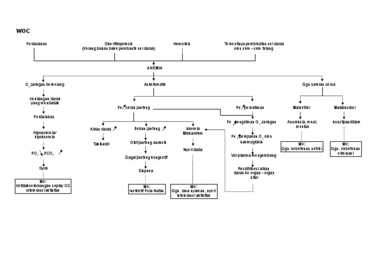 Woc Anemia