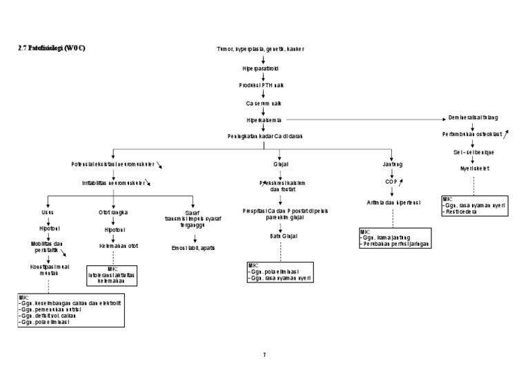 WOC Hiperparatiroid | PDF
