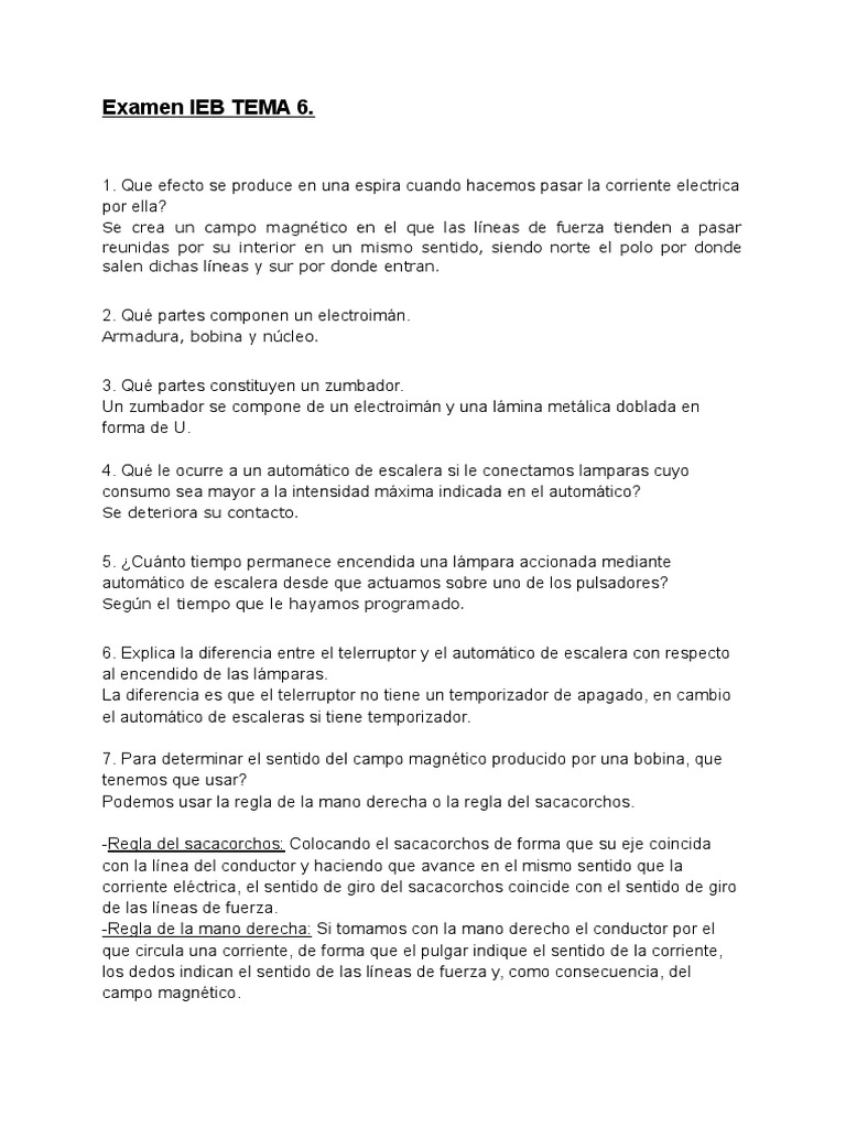 Examen IEB TEMA 6 | PDF