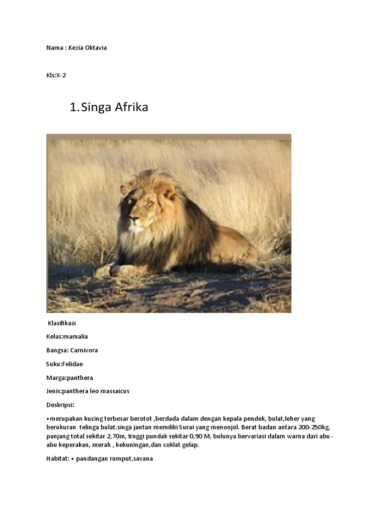 1.singa Afrika | PDF