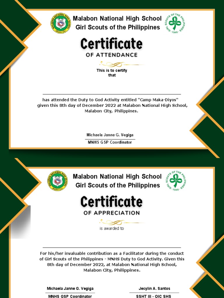 Certificate of Participation and Appreciation for the Girl Scouts of ...