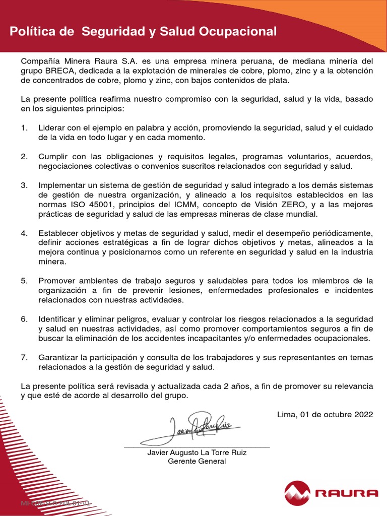 Política de Seguridad y Salud Ocupacional | PDF