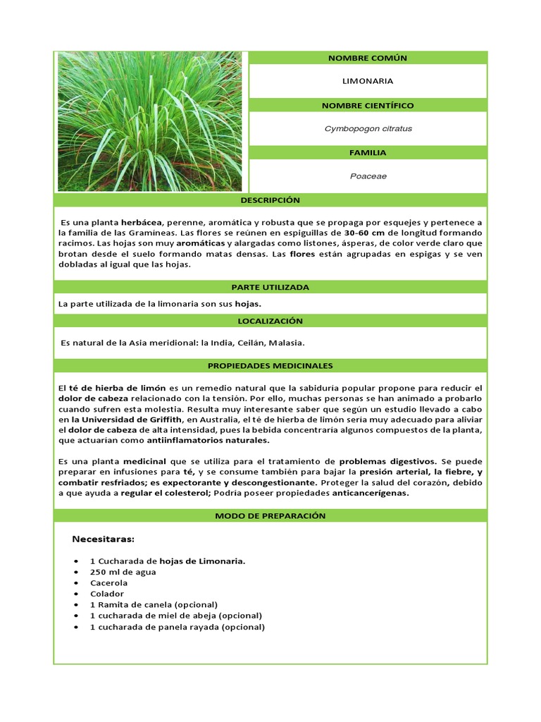 Ficha Técnica Planta Limonaria | PDF