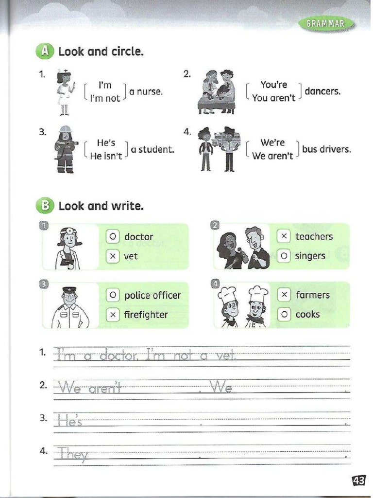 Unit 5 Workbook | PDF