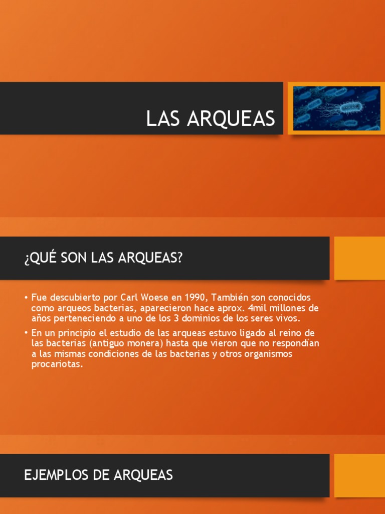 Las arqueas: organismos primitivos que habitan en ambientes extremos | PDF