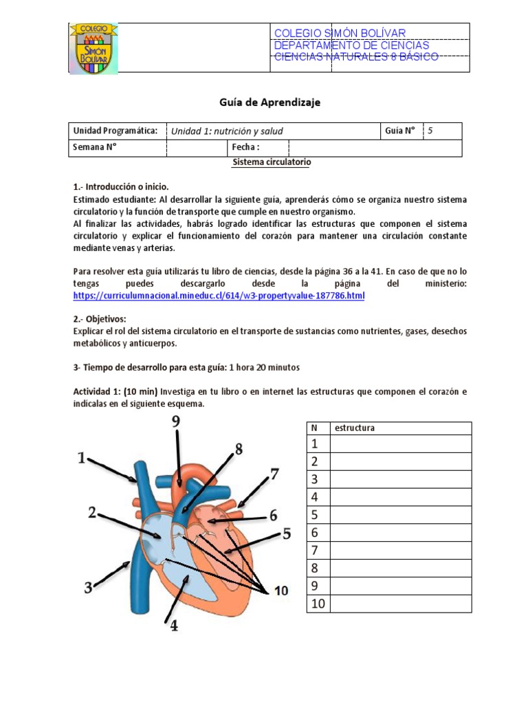 GUIA Sistema Circulatorio | PDF | Sangre | Sistema circulatorio