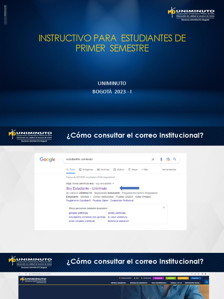 Instructivo Ingreso A Plataformas | PDF