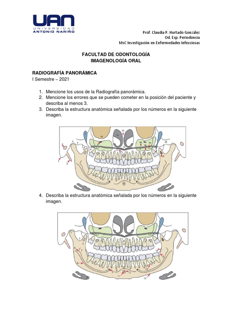 TALLER #2 RX Panorámica | PDF